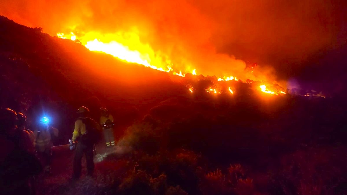 Tragedia en Chingaza: Incendio arrasa gran parte de uno de los tesoros ...