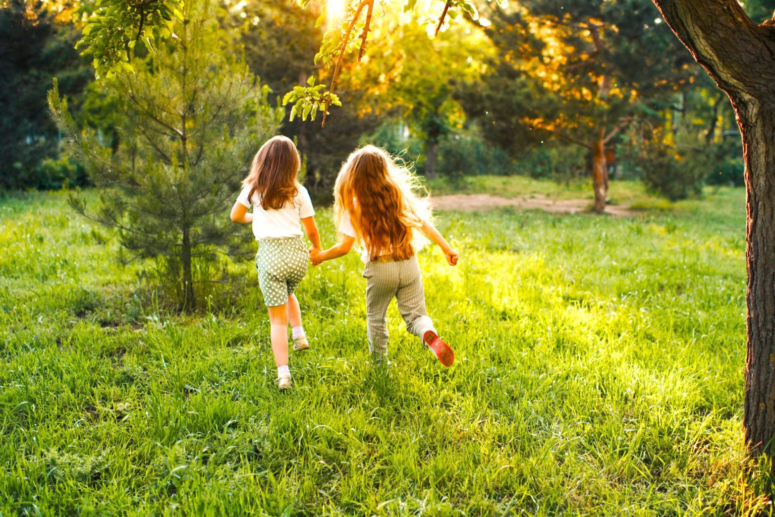 Corte protege derechos de dos niñas huérfanas: ordena pago de pensión ...